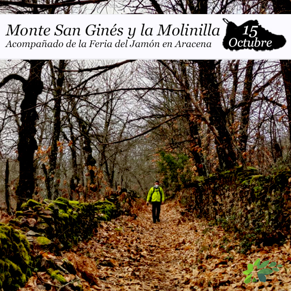 Monte San Ginés y La Molinilla | 15 de Octubre - Enclave Deportivo