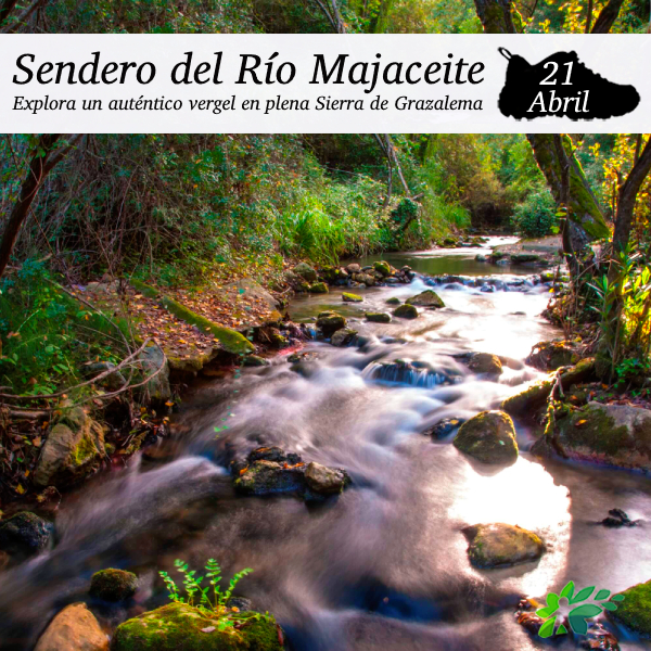 Sendero del Río Majaceite | 21 de Abril - Enclave Deportivo